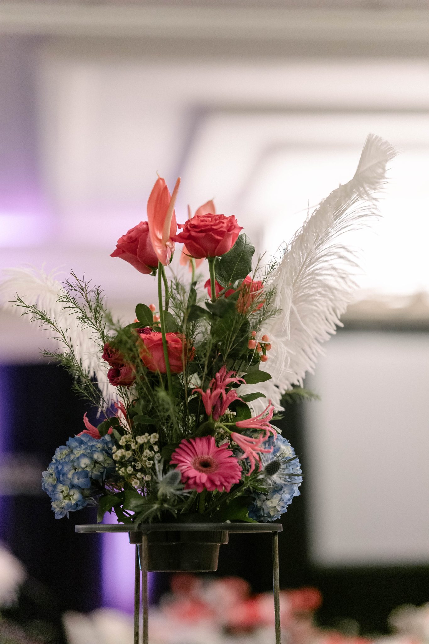 Record-setting Gala Raises $400,000 for the MS Center! - Rocky Mountain ...